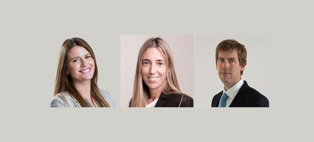 First issue of Rowing Notes- The Latin American Lawyer